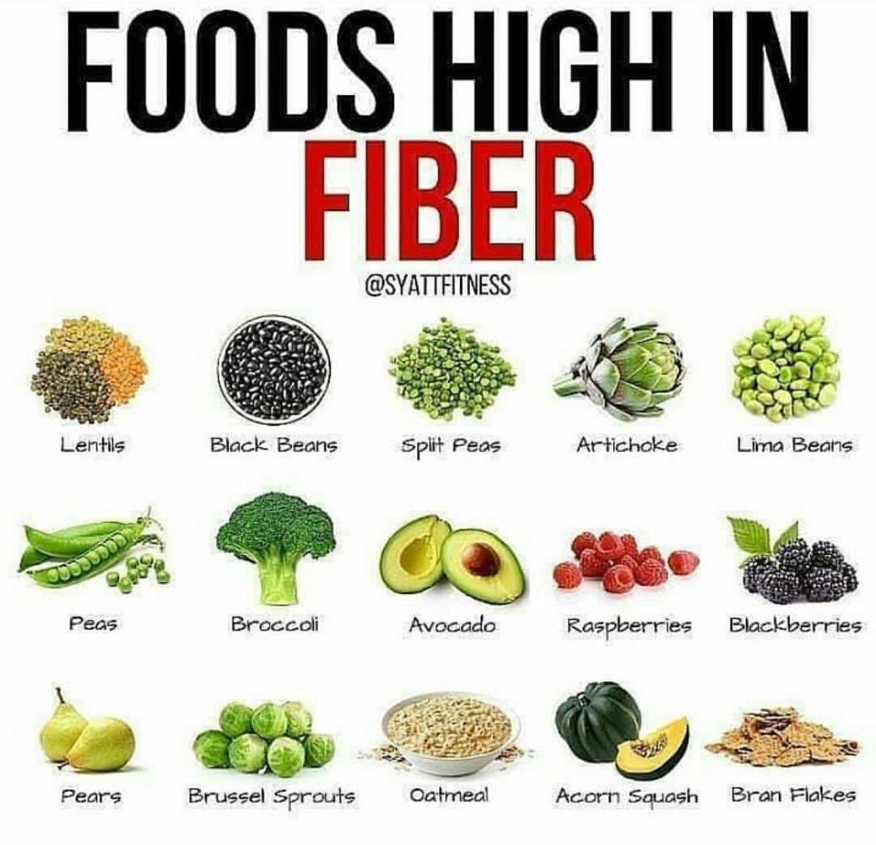 Balancing Fiber Intake: The Key to Digestive Comfort - Life Conceptual