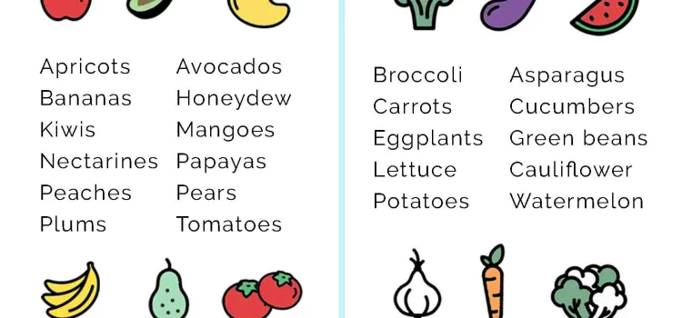 Ethylene Gas Management for Fresh Vegetables