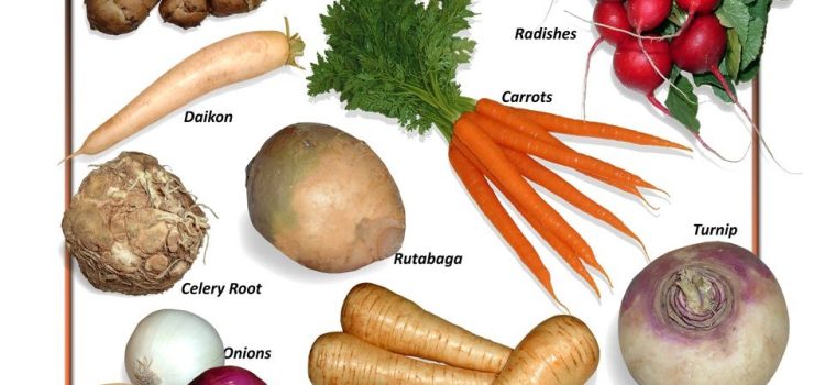 Root Vegetables: Nature's Underground Treasures