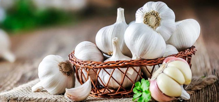 Unveiling Garlic's Secret Weapon Against Dandruff Woes
