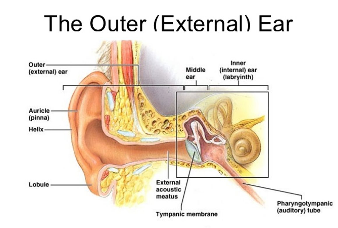 Ear Congestion: Understanding Why Your Ears Feel Blocked