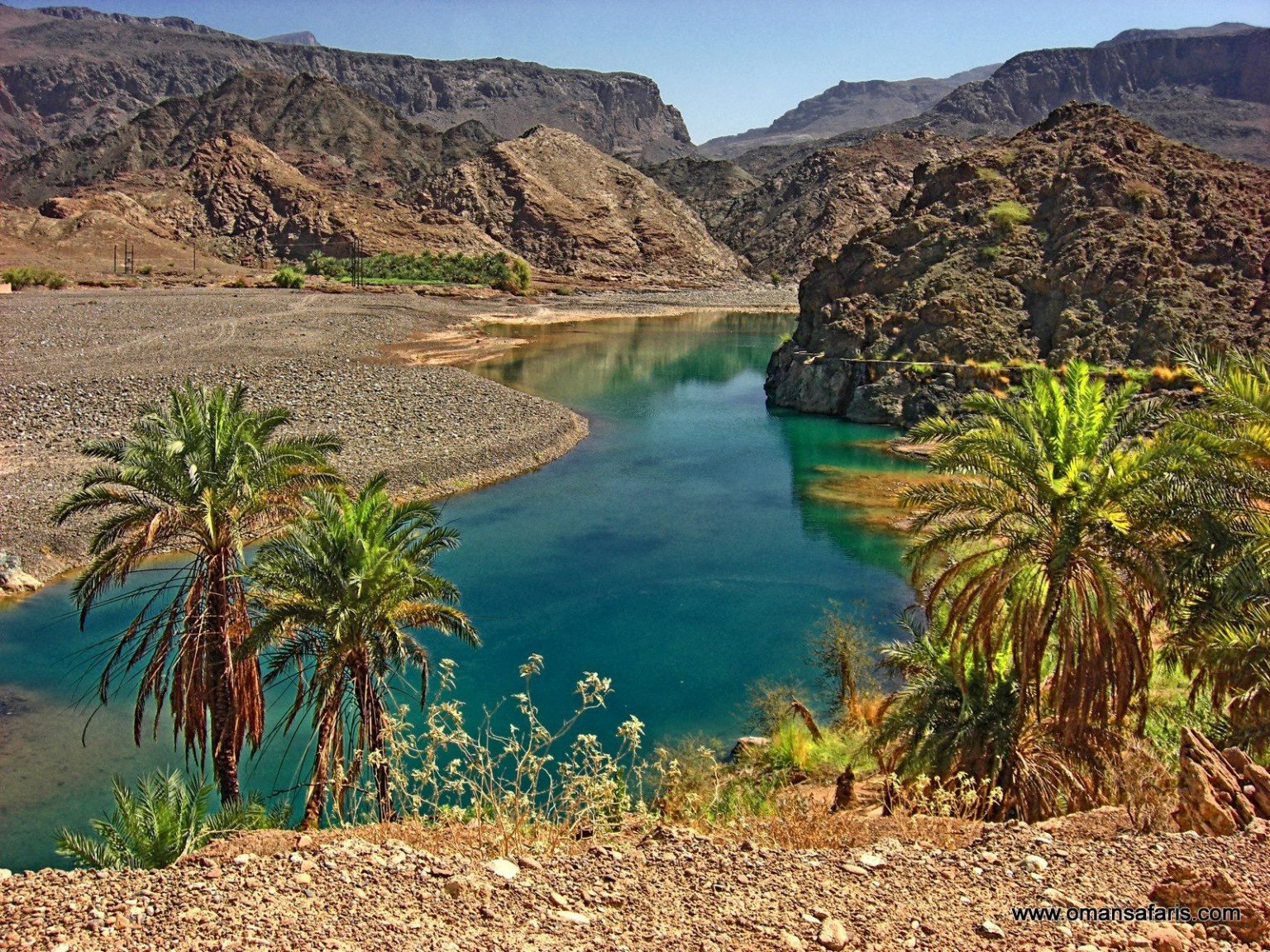 Exploring Nature's Wonders into Muscat's Outdoor Oasis