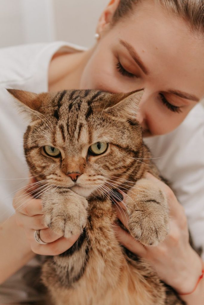Molding Manners: Etiquette Training for Kittens