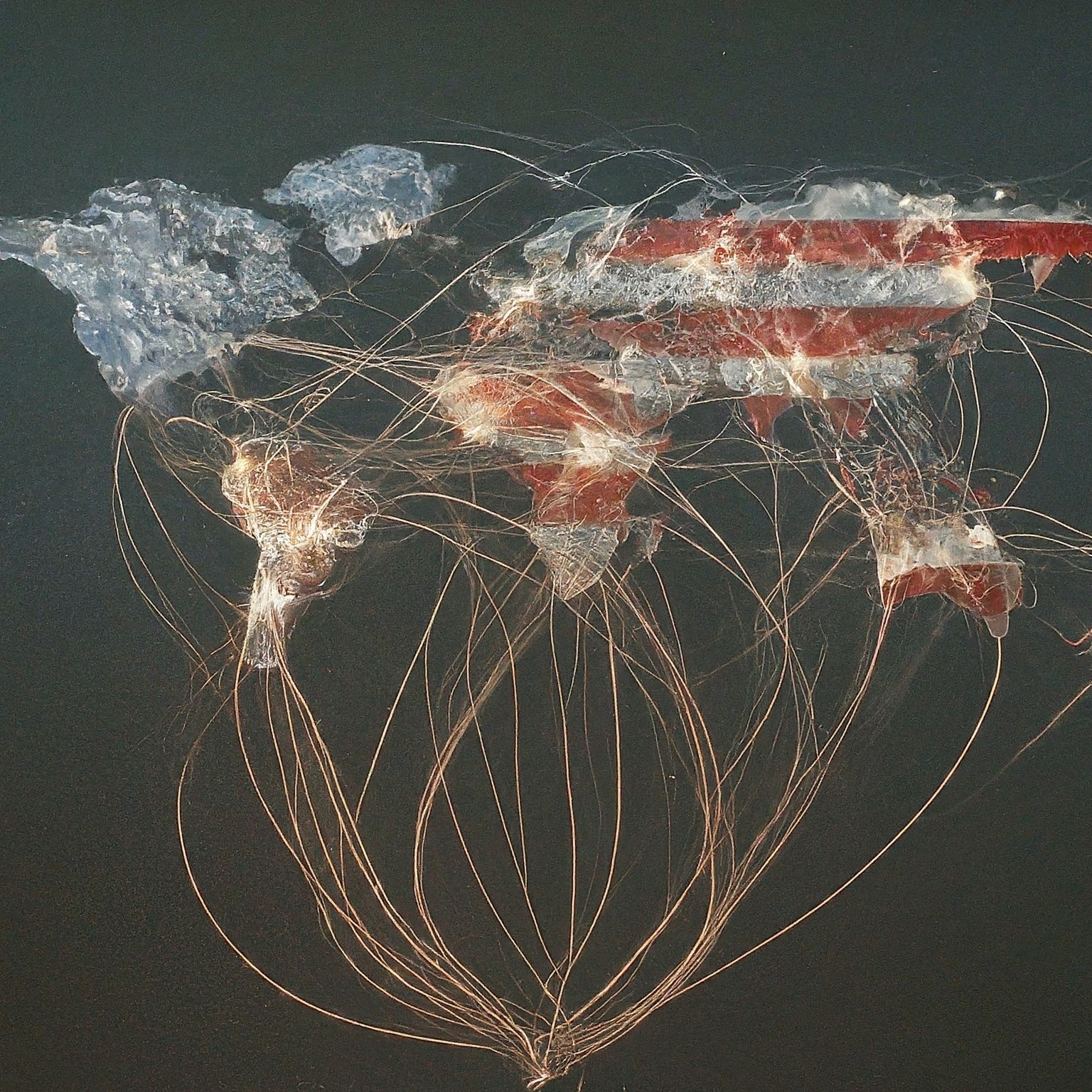 Halt to Wuhan Lab Funding: Safety Concerns or Politics?