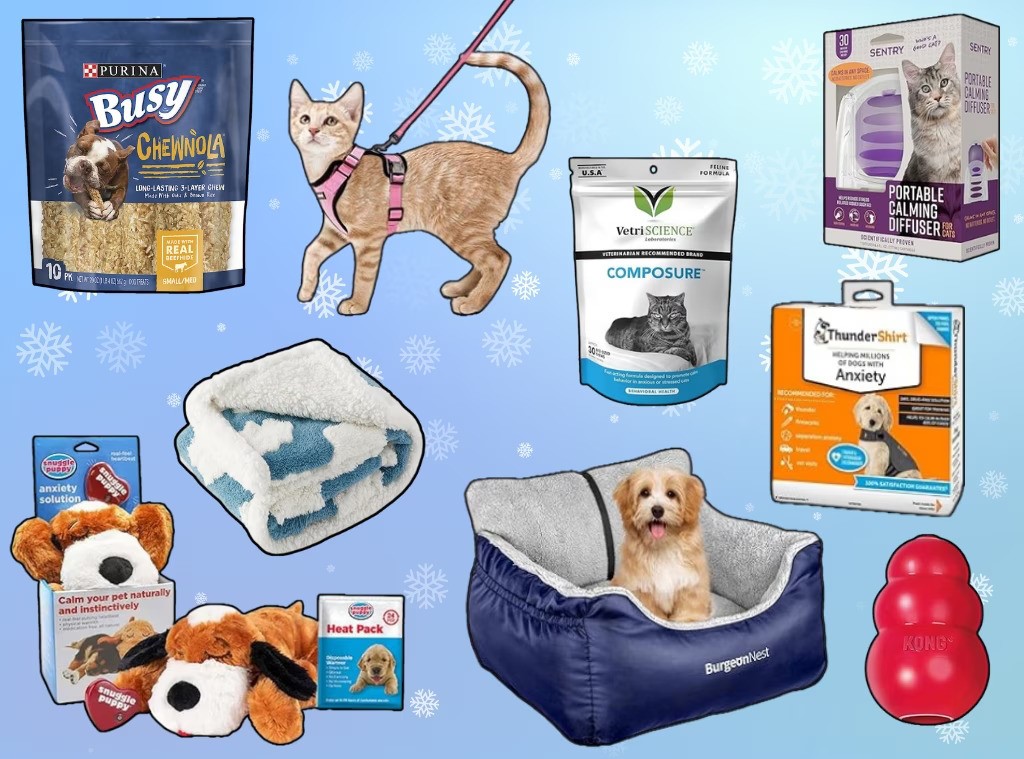 Innovative Pet Products for Modern Pet Owners in 2024