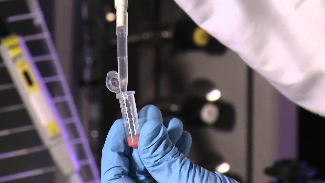 Advances in Drug Delivery Systems: What’s New?