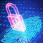 Complete Life Cycle of an Ostrich from Egg to Adulthood - Life Conceptual