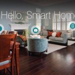 Complete Life Cycle of an Ostrich from Egg to Adulthood - Life Conceptual